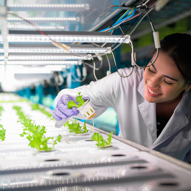 Agriculture | Ray-Q Interconnect