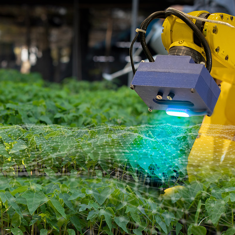 Agriculture | Ray-Q Interconnect