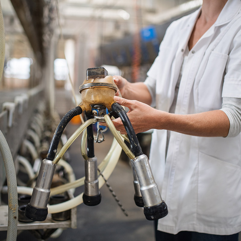 Agriculture | Ray-Q Interconnect