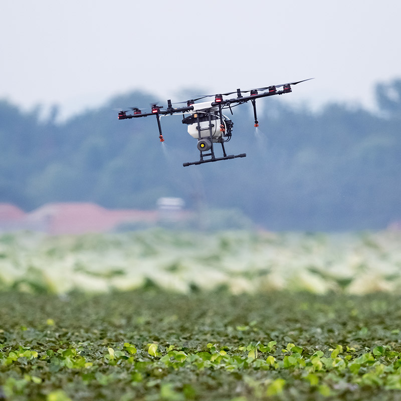 Agriculture | Ray-Q Interconnect